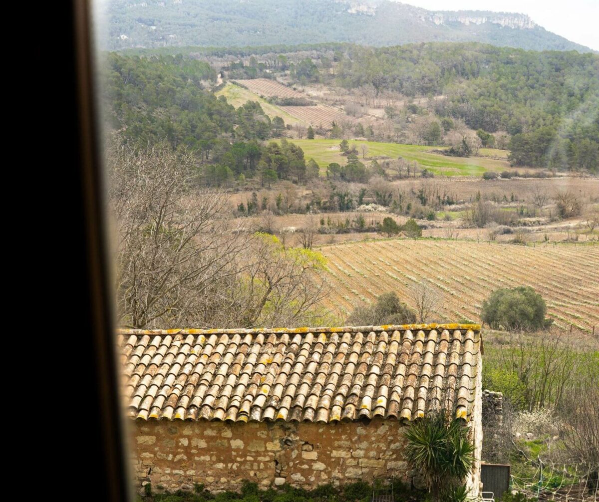 Wine Tasting in The Spanish Countryside: A Perfect Day Trip From ...